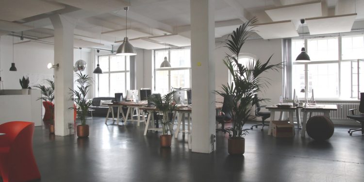 Understanding Office Occupancy - How to Make the Most of your ...